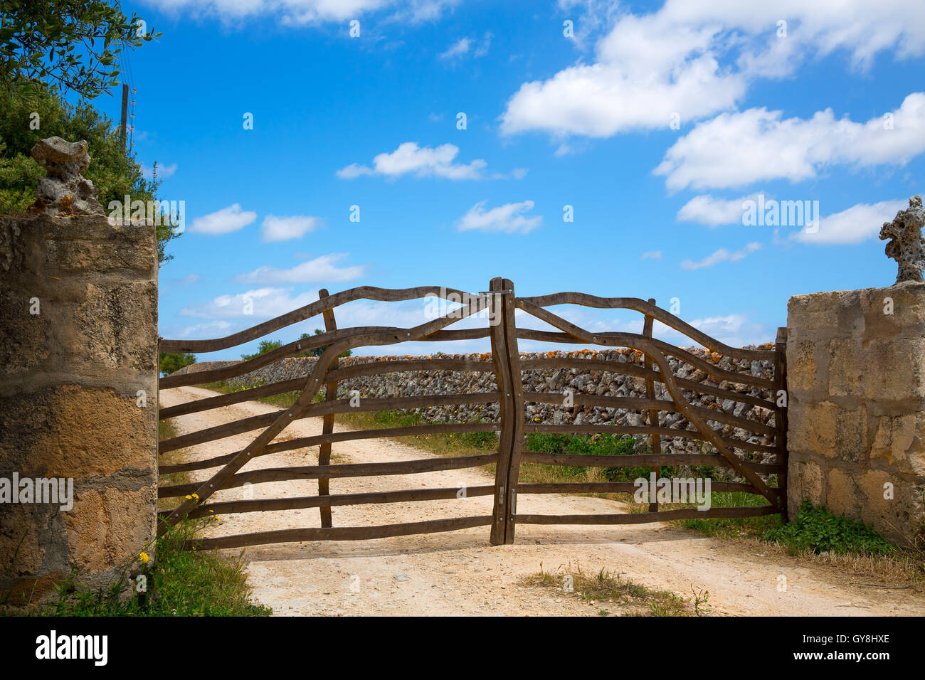 Menorca traditional olive tree wooden fence in Balearic Stock Photo - Alamy