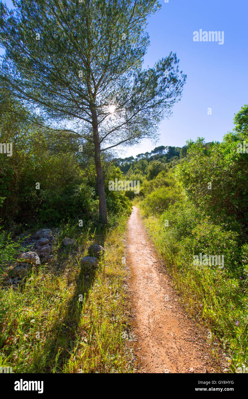 Menorca mediterranean track in es Mitjorn Gran Stock Photo - Alamy