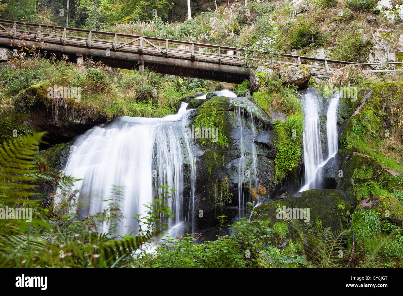 Triberger hi-res stock photography and images - Alamy