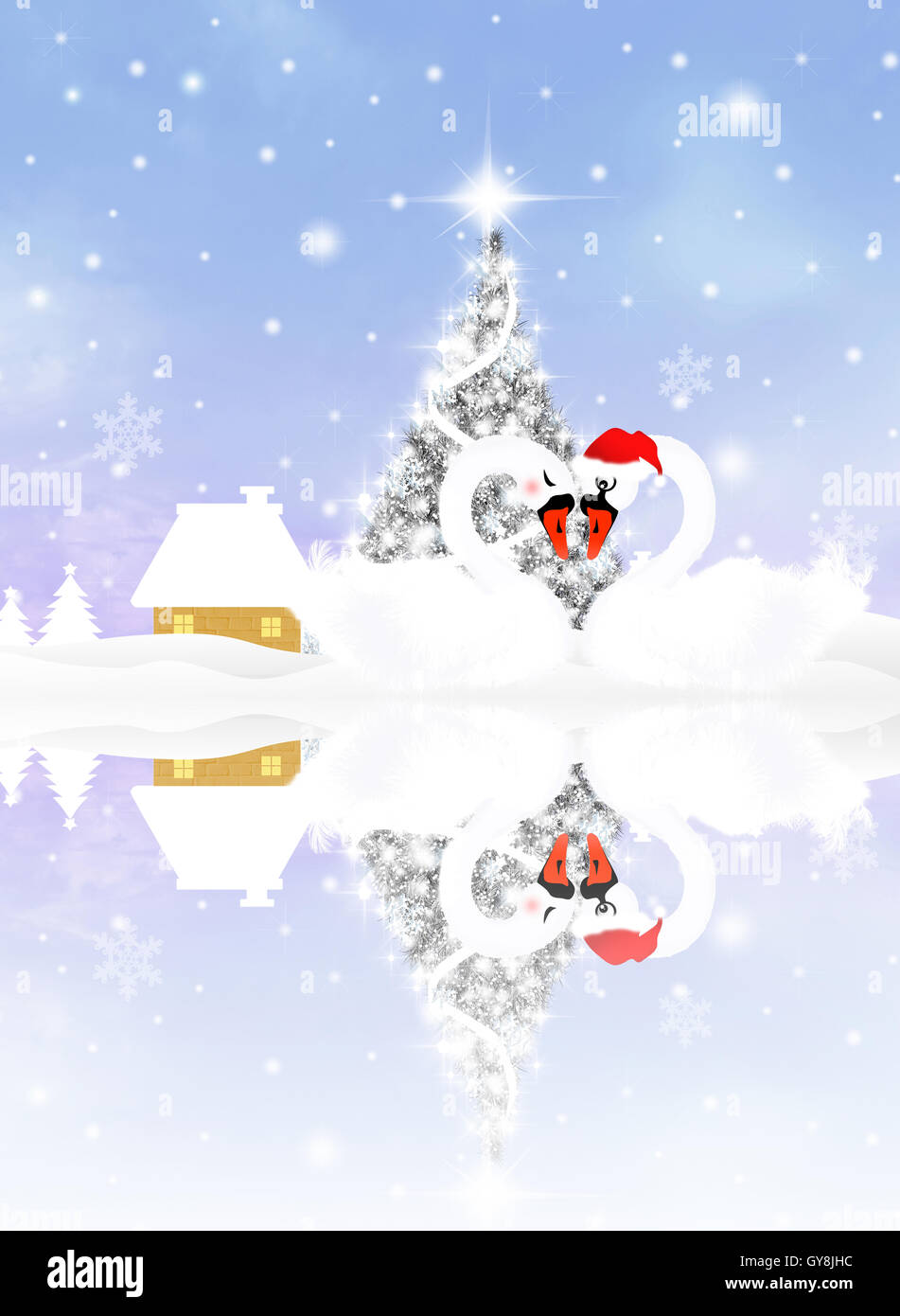 swans at Christmas Stock Photo - Alamy