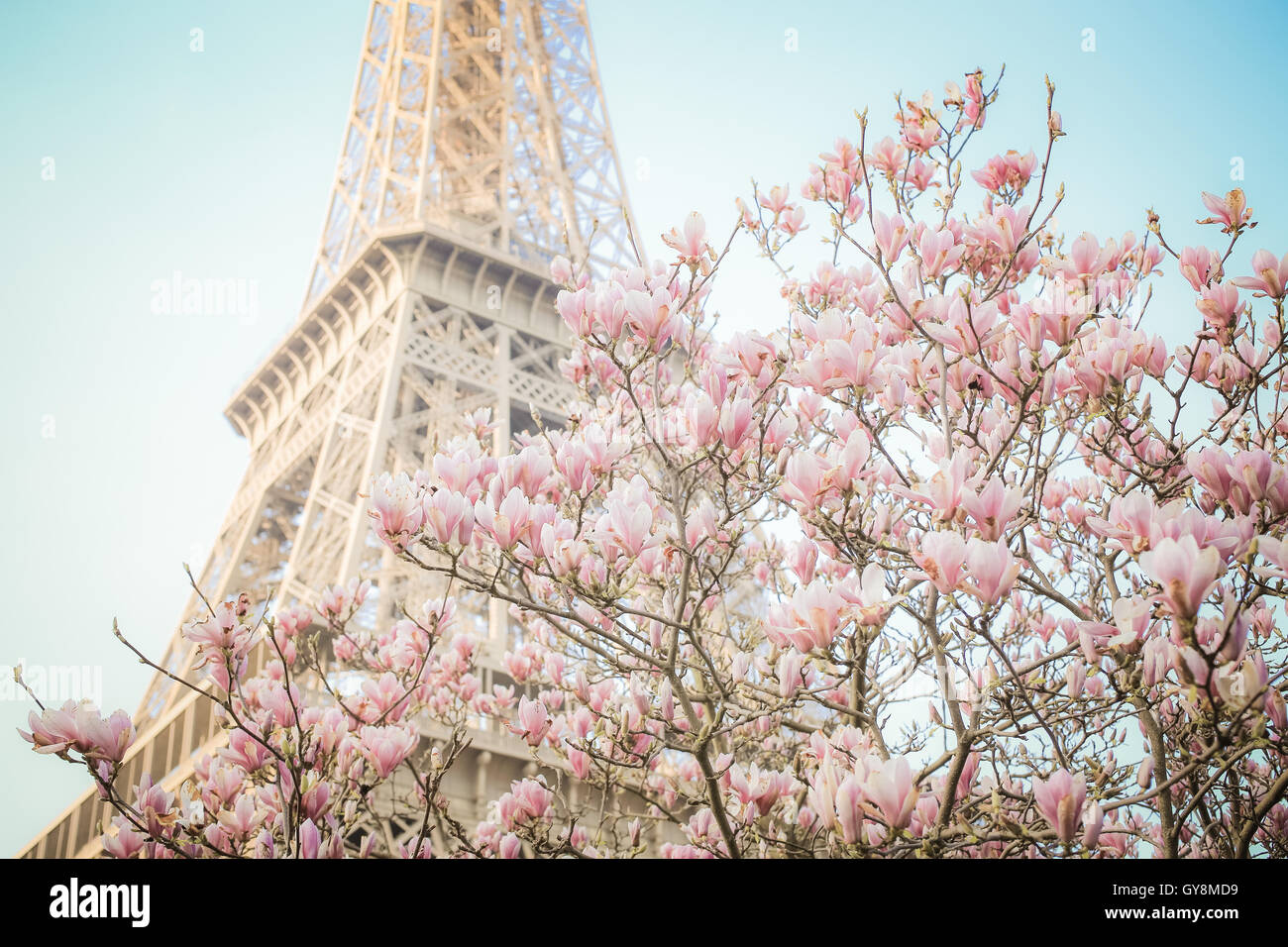 Paris in spring hi-res stock photography and images - Alamy