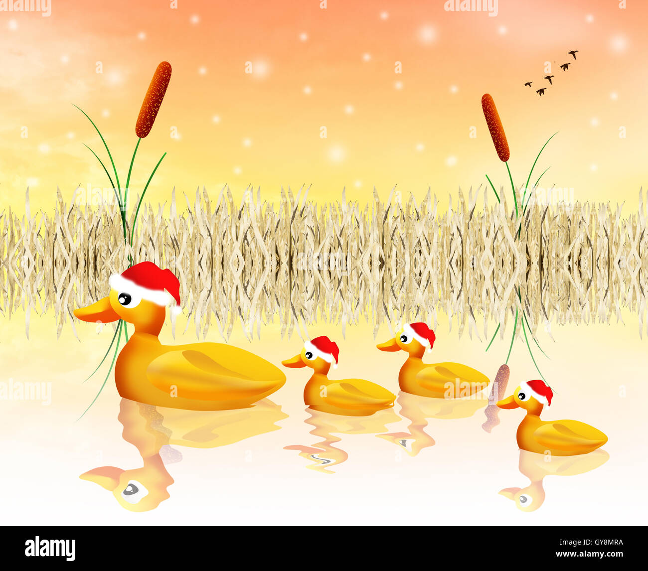 ducks at Christmas Stock Photo - Alamy