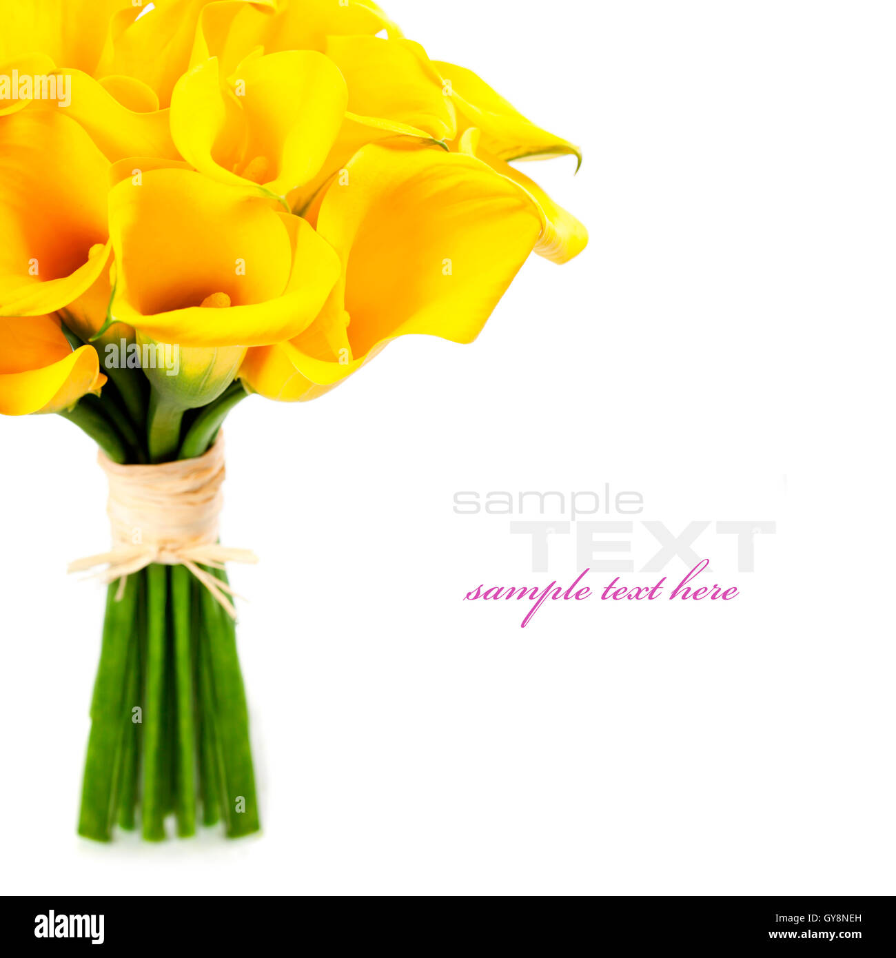 Beautiful Calla Lilly Bouquet Stock Photo - Alamy