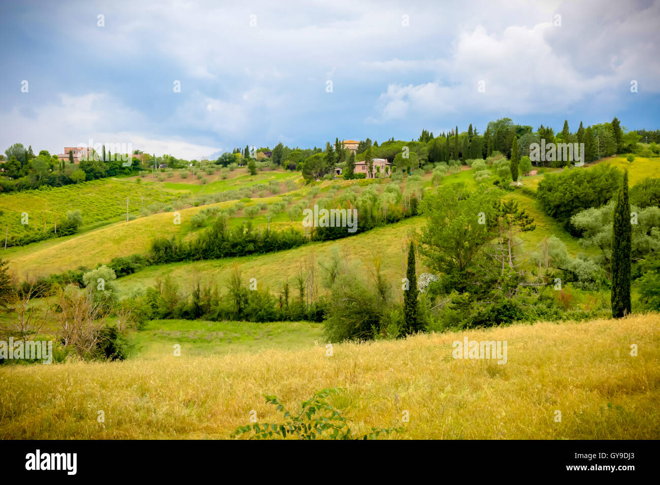 Siena countryside hi-res stock photography and images - Alamy