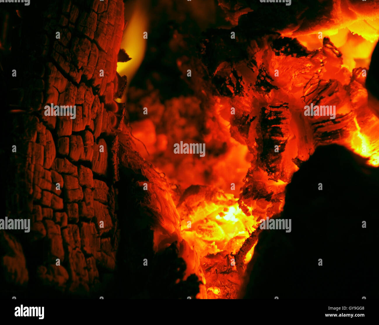 Capturing the Hot Coals glowing on a burning camp fire Stock Photo - Alamy