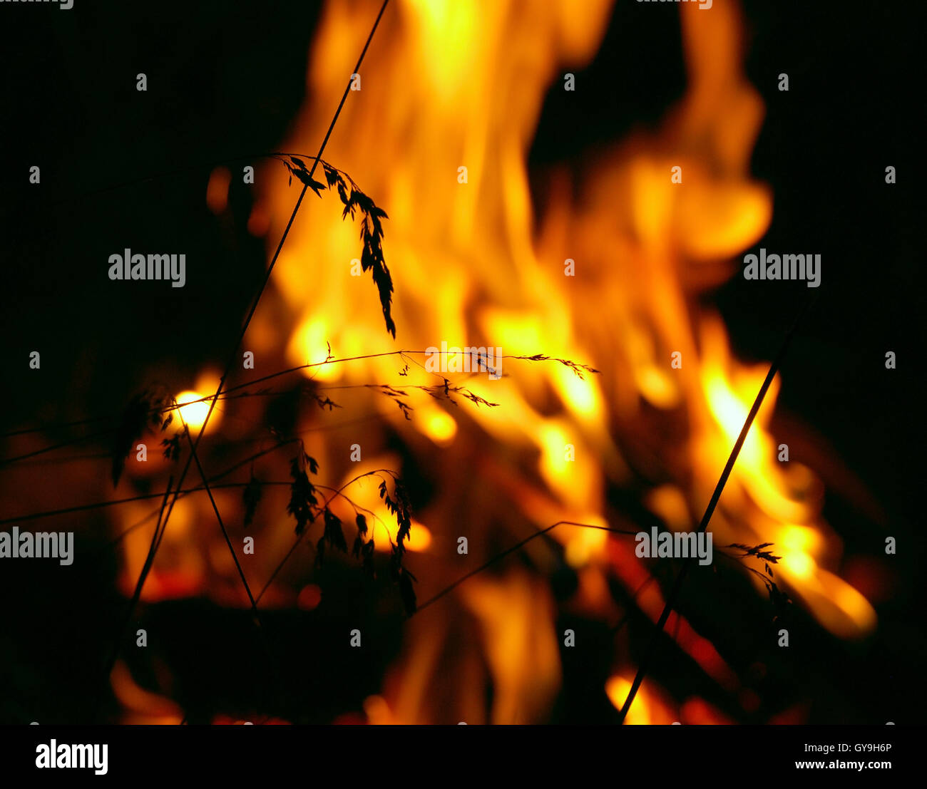 Fire in the background Stock Photo - Alamy