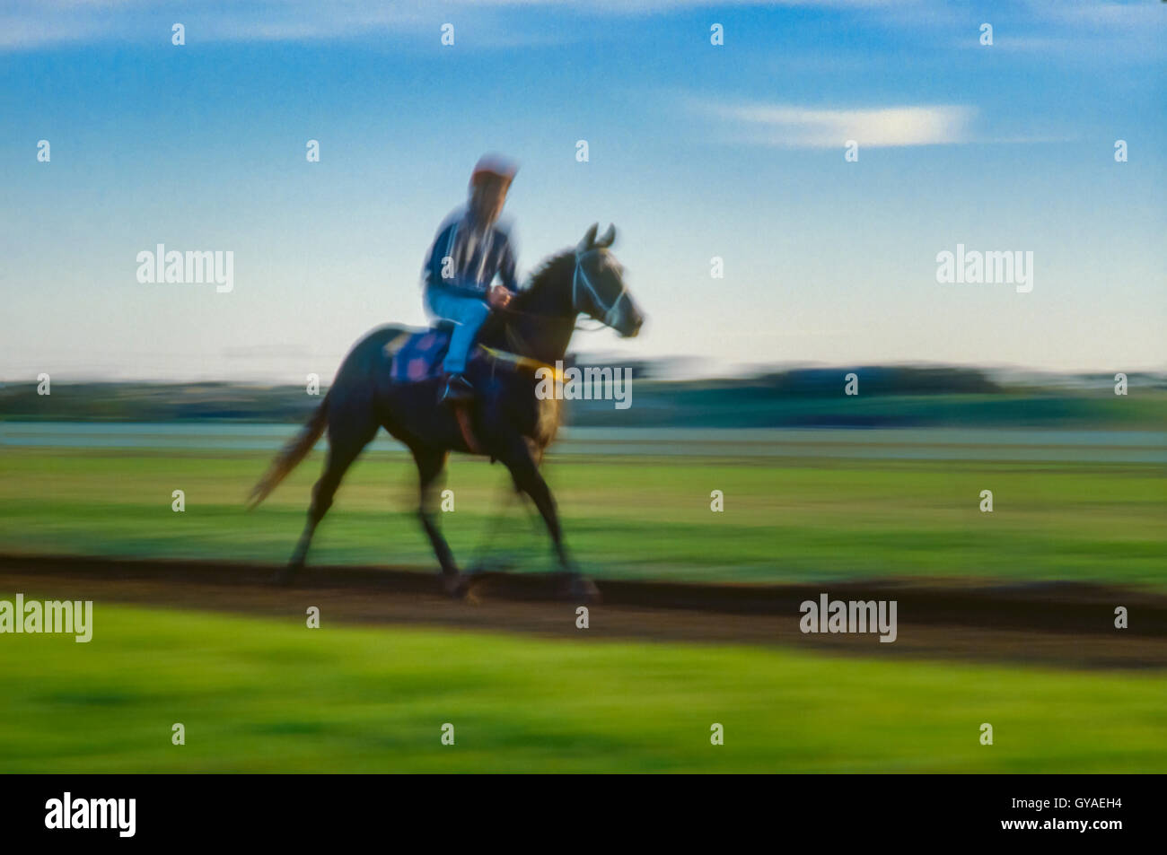 Thoroughbred Racehorse Jockey High Resolution Stock Photography and Images - Alamy