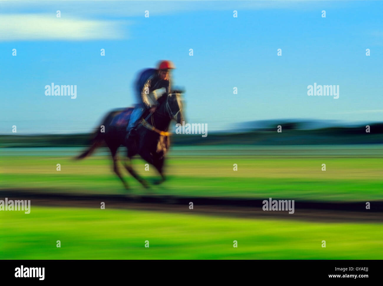 Racehorse Training High Resolution Stock Photography and Images - Alamy