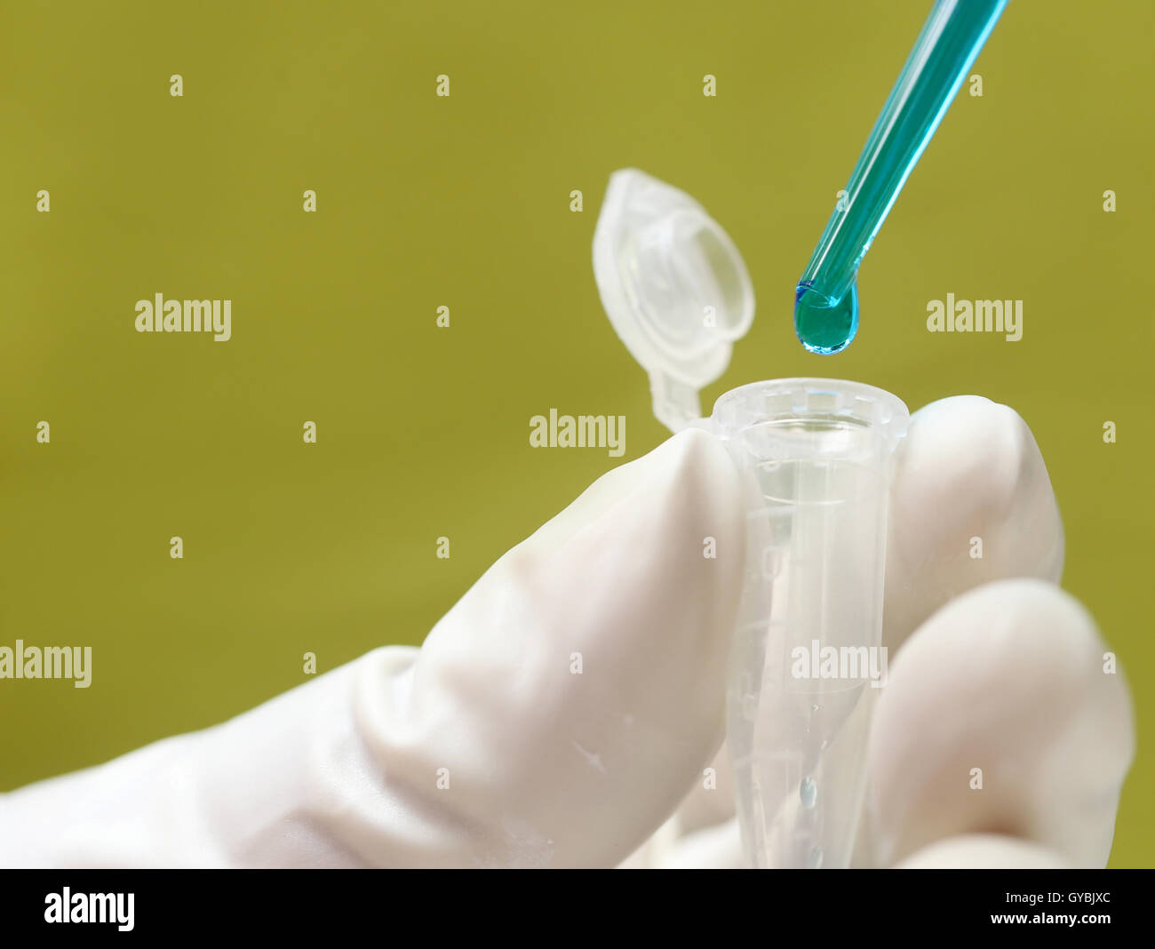 Dropping chemical in a sample tube by scientist Stock Photo - Alamy