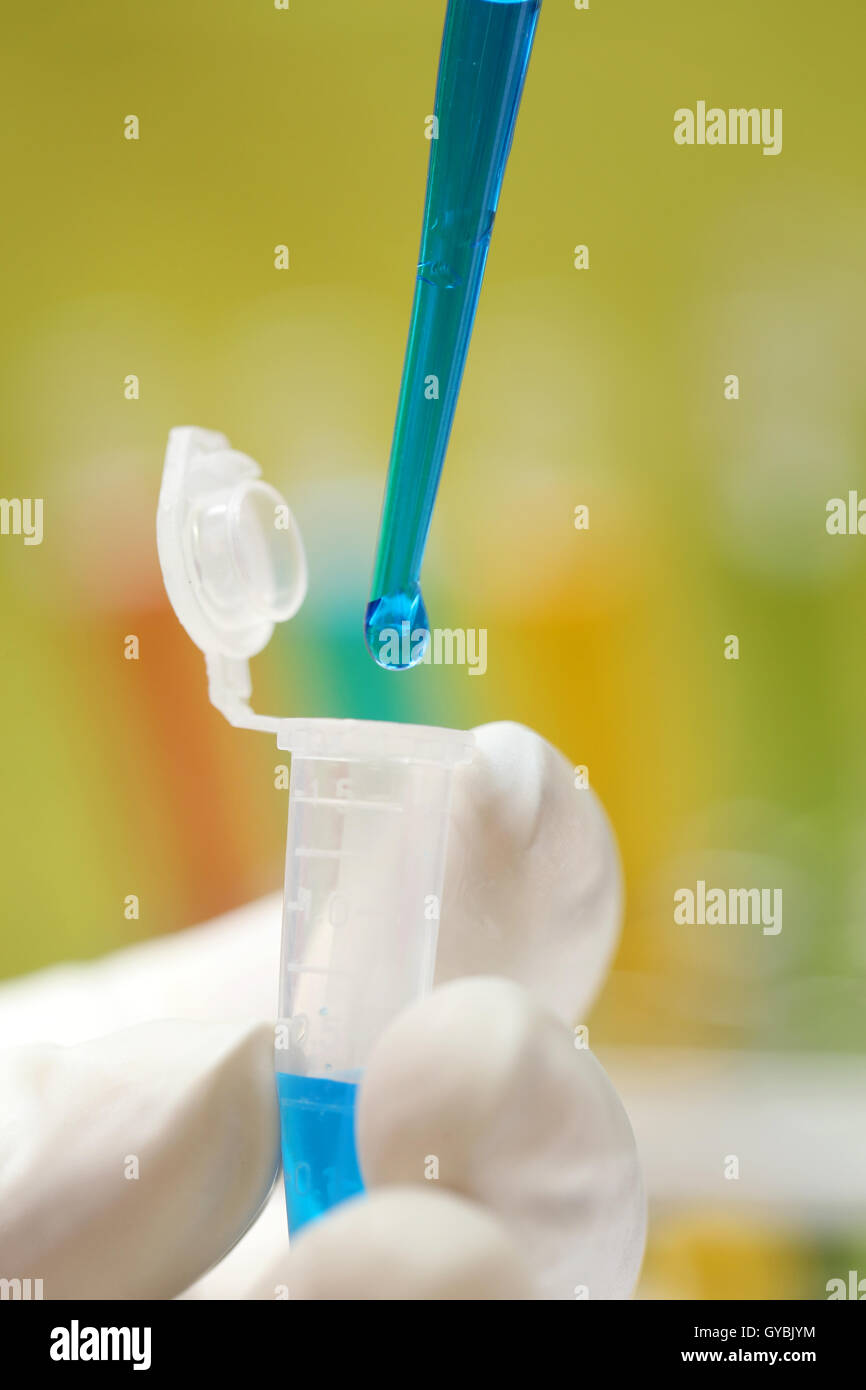 Dropping chemical in a sample tube by scientist Stock Photo - Alamy