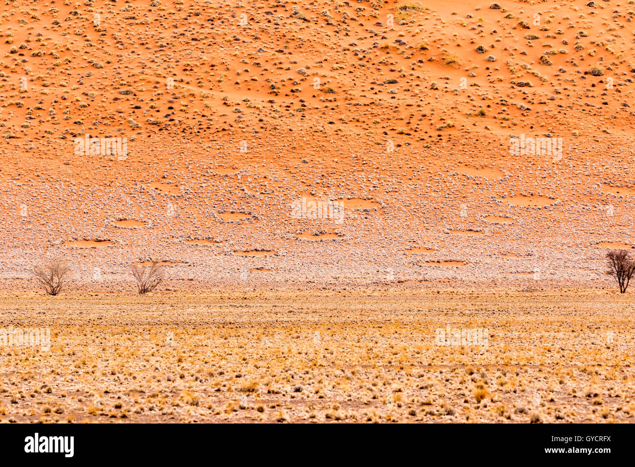 Fairy circles in Namib-Naukluft National Park, Namibia Stock Photo - Alamy