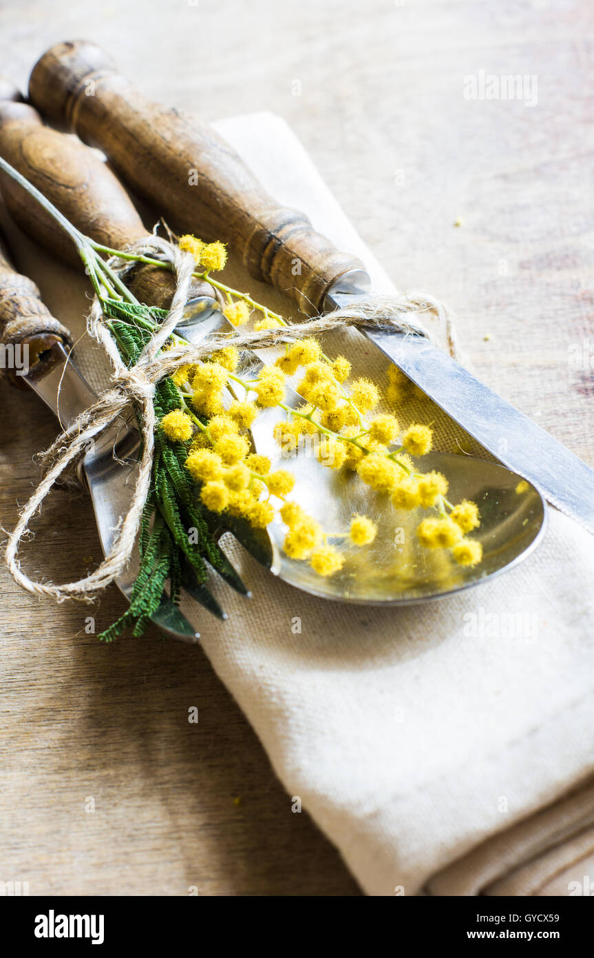 Table setting with mimosa flowers Stock Photo - Alamy
