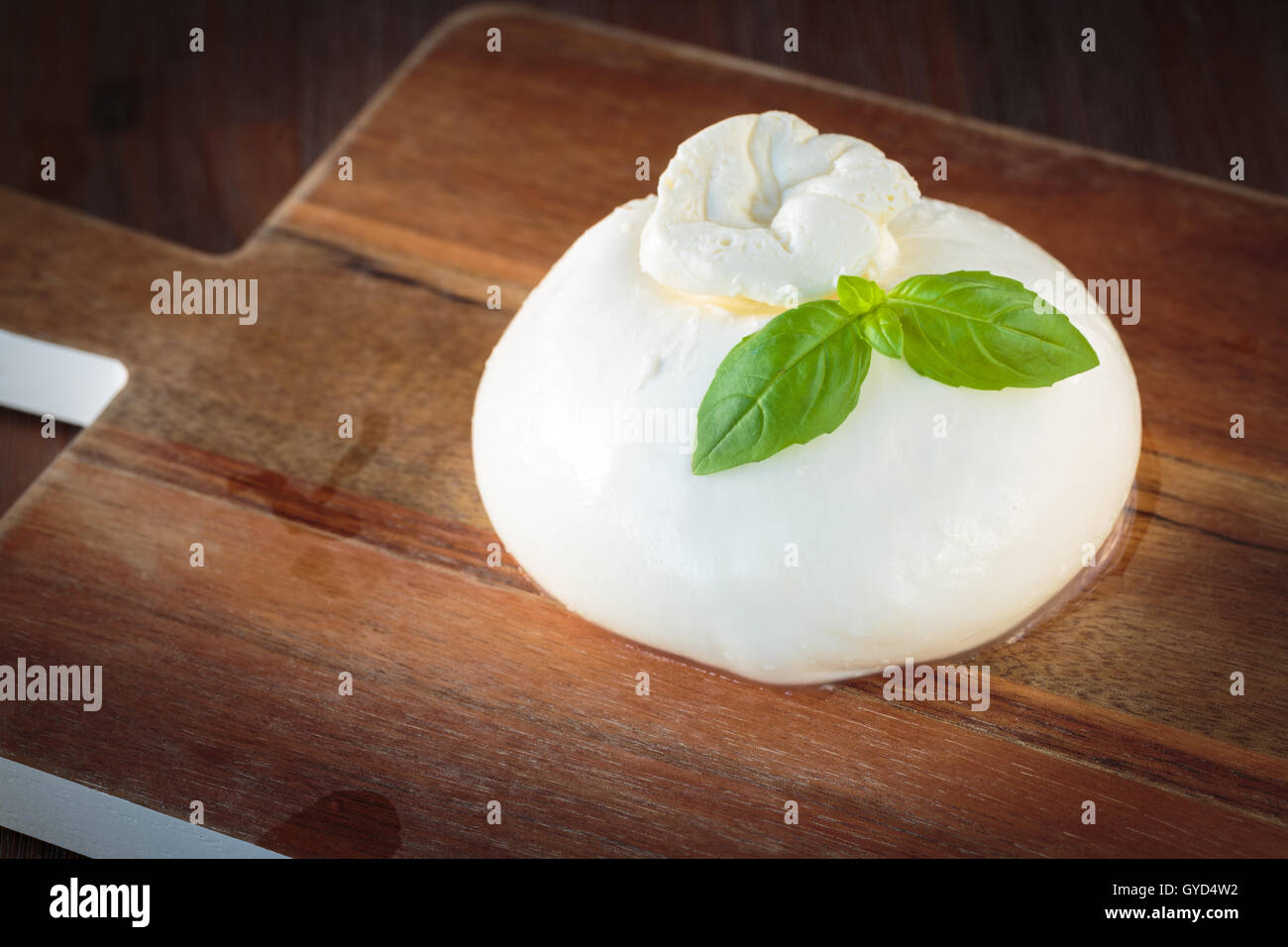 Delicious italian Burrata mozzarella cheese made with fresh milk Stock ...