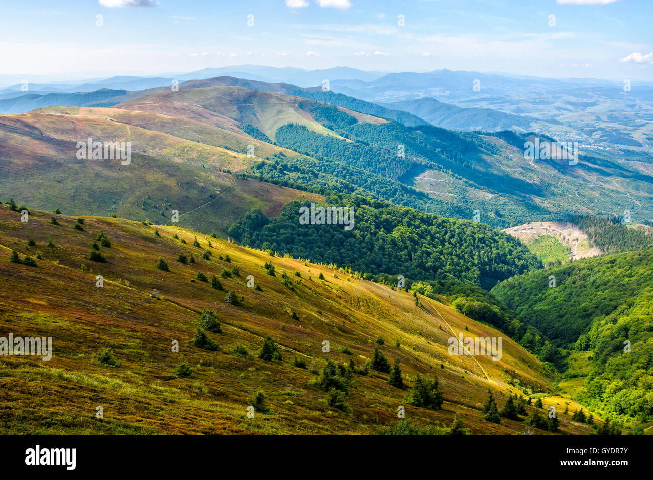 slope of mountain range with forest and colorful meadow Stock Photo - Alamy