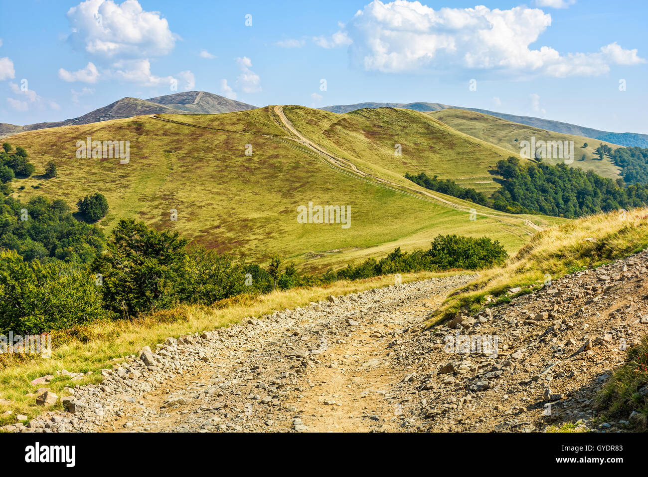 winding road through large meadows on the hillside of mountain range ...