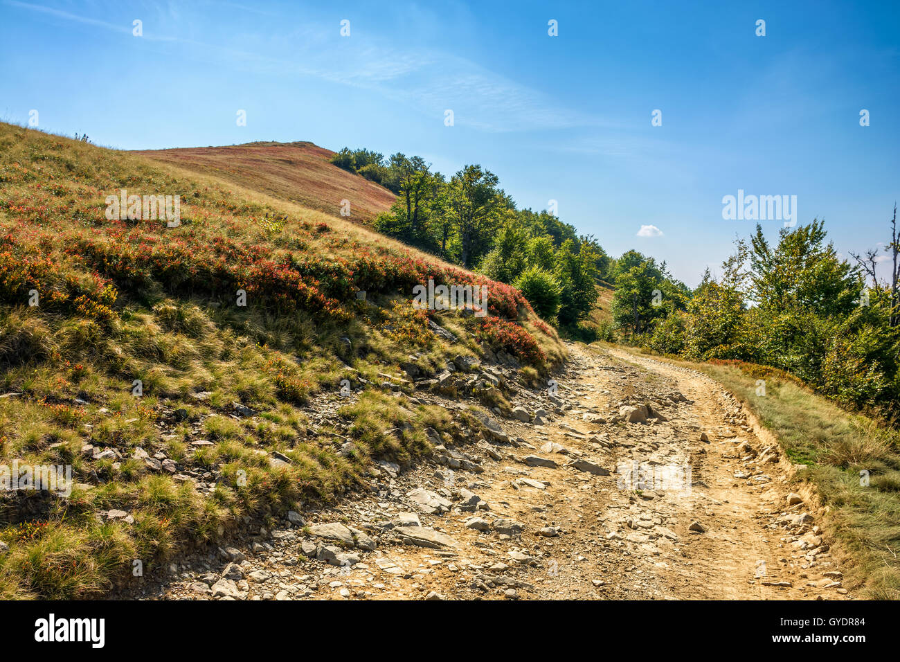 Sides of the road hi-res stock photography and images - Alamy