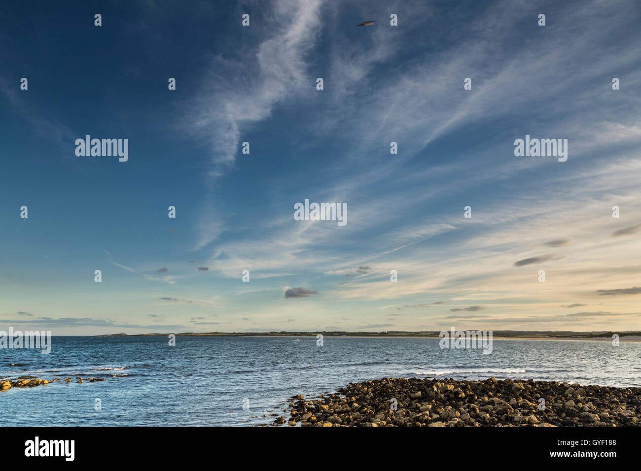 Rocks on Foreshore at Looking South Across Beadnell Bay towards ...