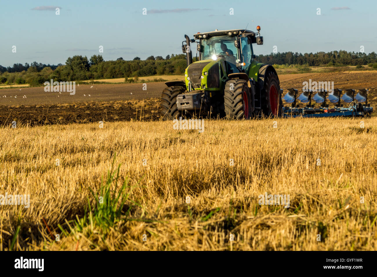 Agriculture plowing tractor on wheat cereal fields working Stock Photo ...