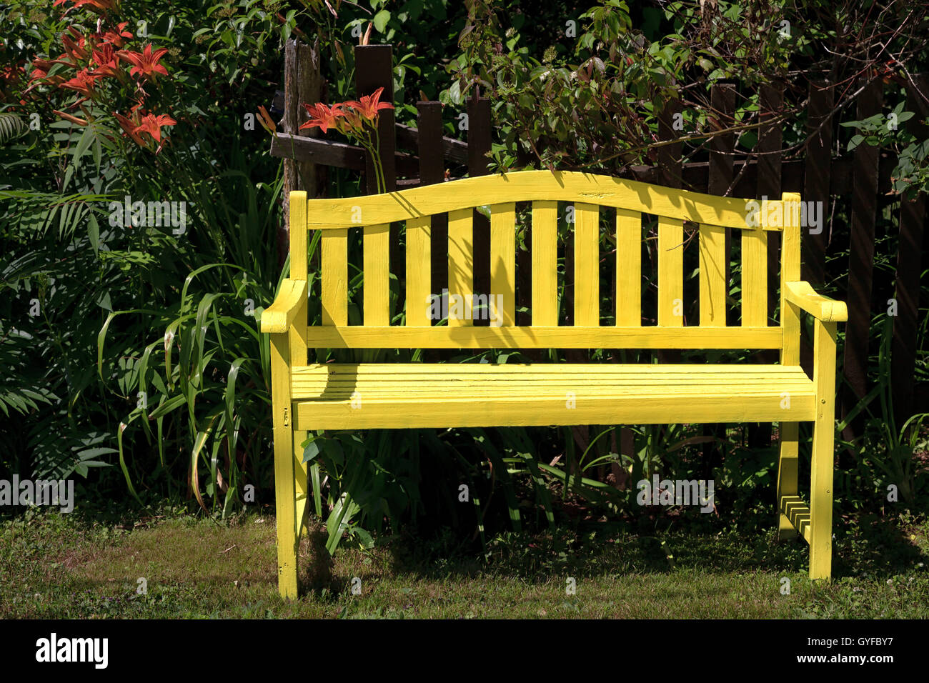 Yellow flowers bench hi-res stock photography and images - Alamy
