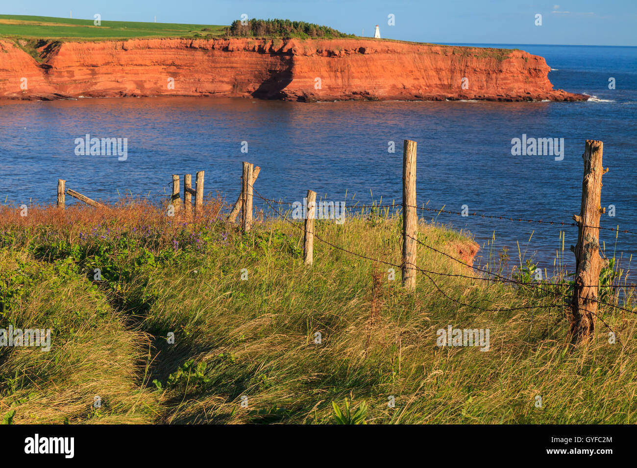 Cliffs on the north shore of Prince Edward Island with Cape Tryon ...