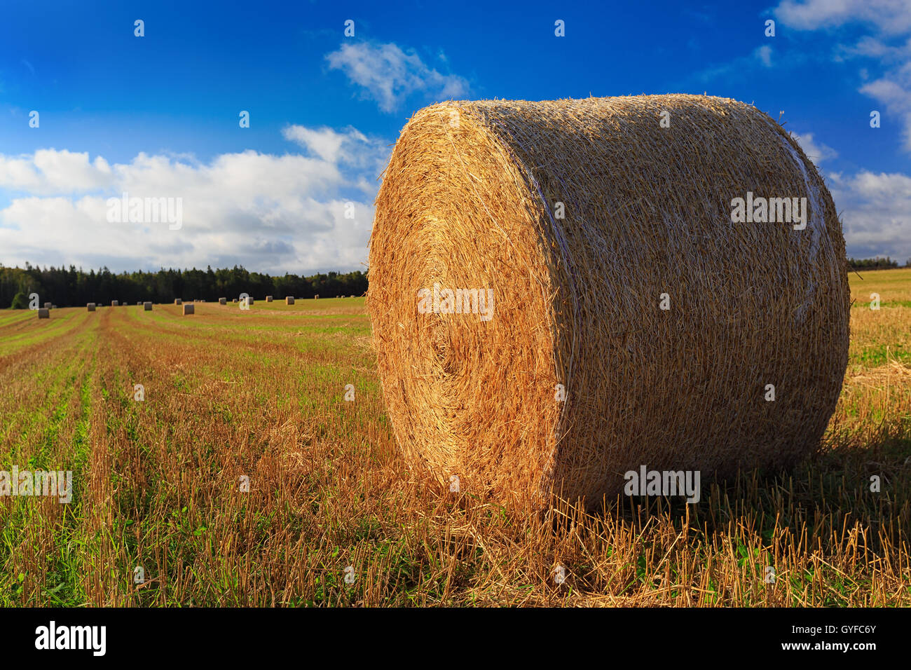 Farm with hay hi-res stock photography and images - Alamy