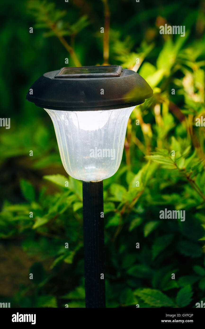 Beautiful Small Solar Garden Light, Lanterns In Flower Bed. Garden ...