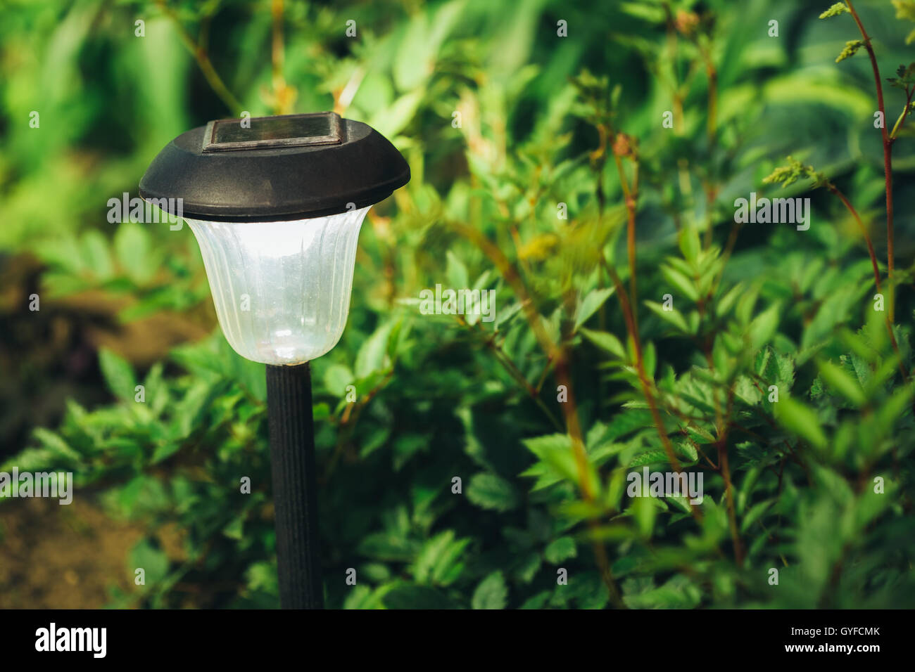 Beautiful Small Solar Garden Light, Lanterns In Flower Bed. Garden ...