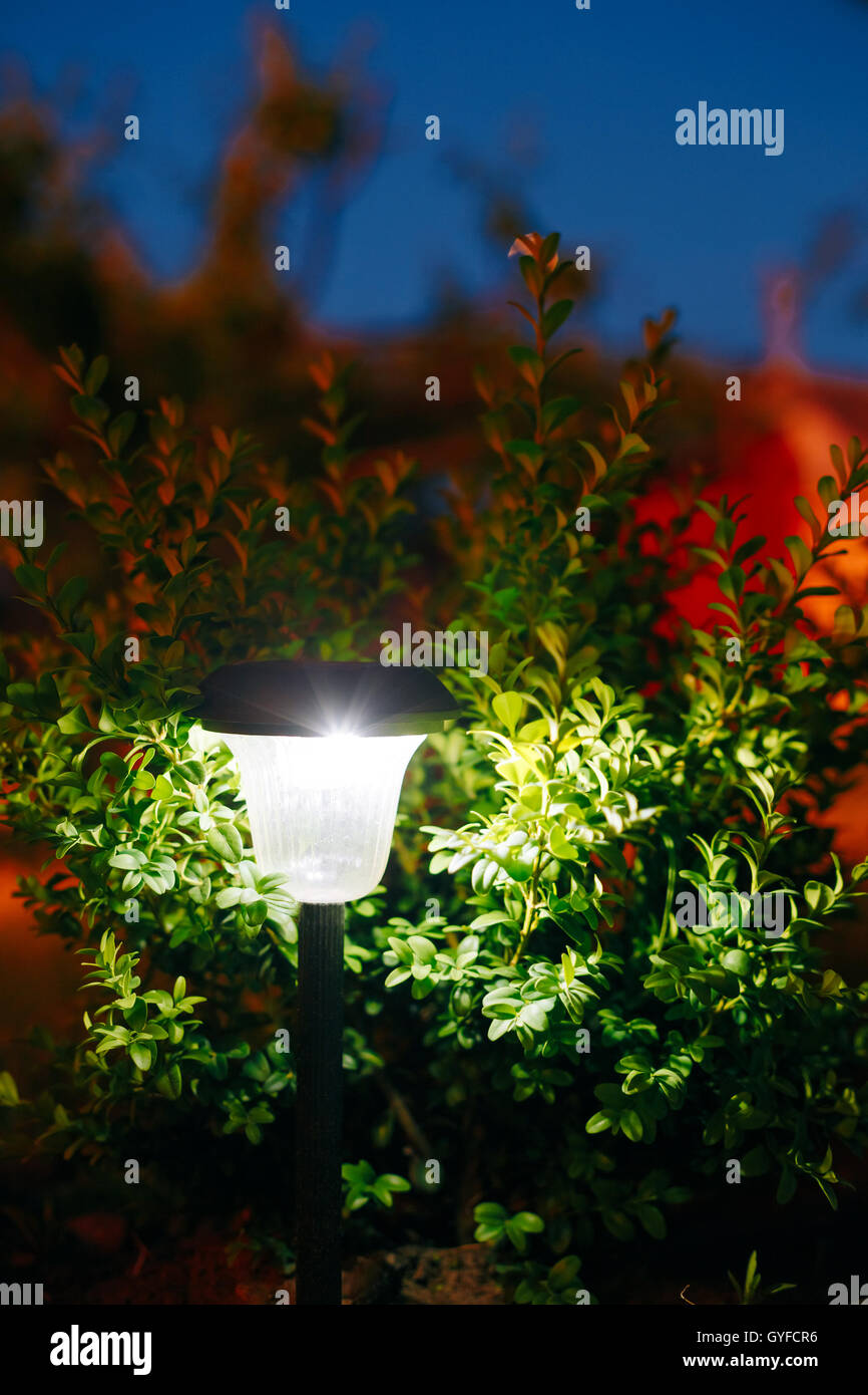 Decorative Small Solar Garden Light, Lanterns In Flower Bed In Green ...