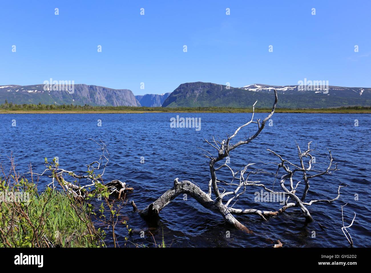western brook pond Stock Photo - Alamy