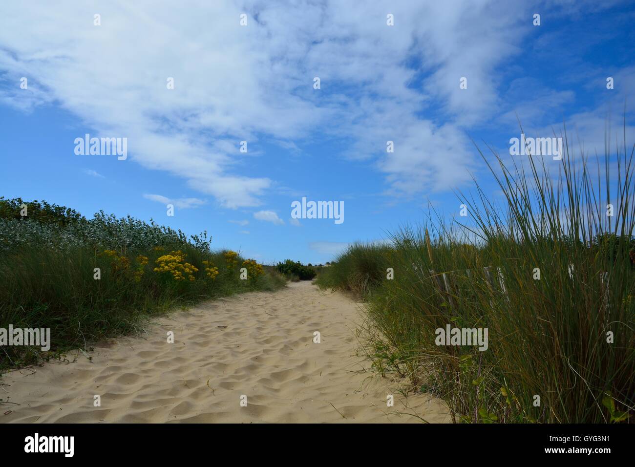 Formby Beach in England Stock Photo - Alamy
