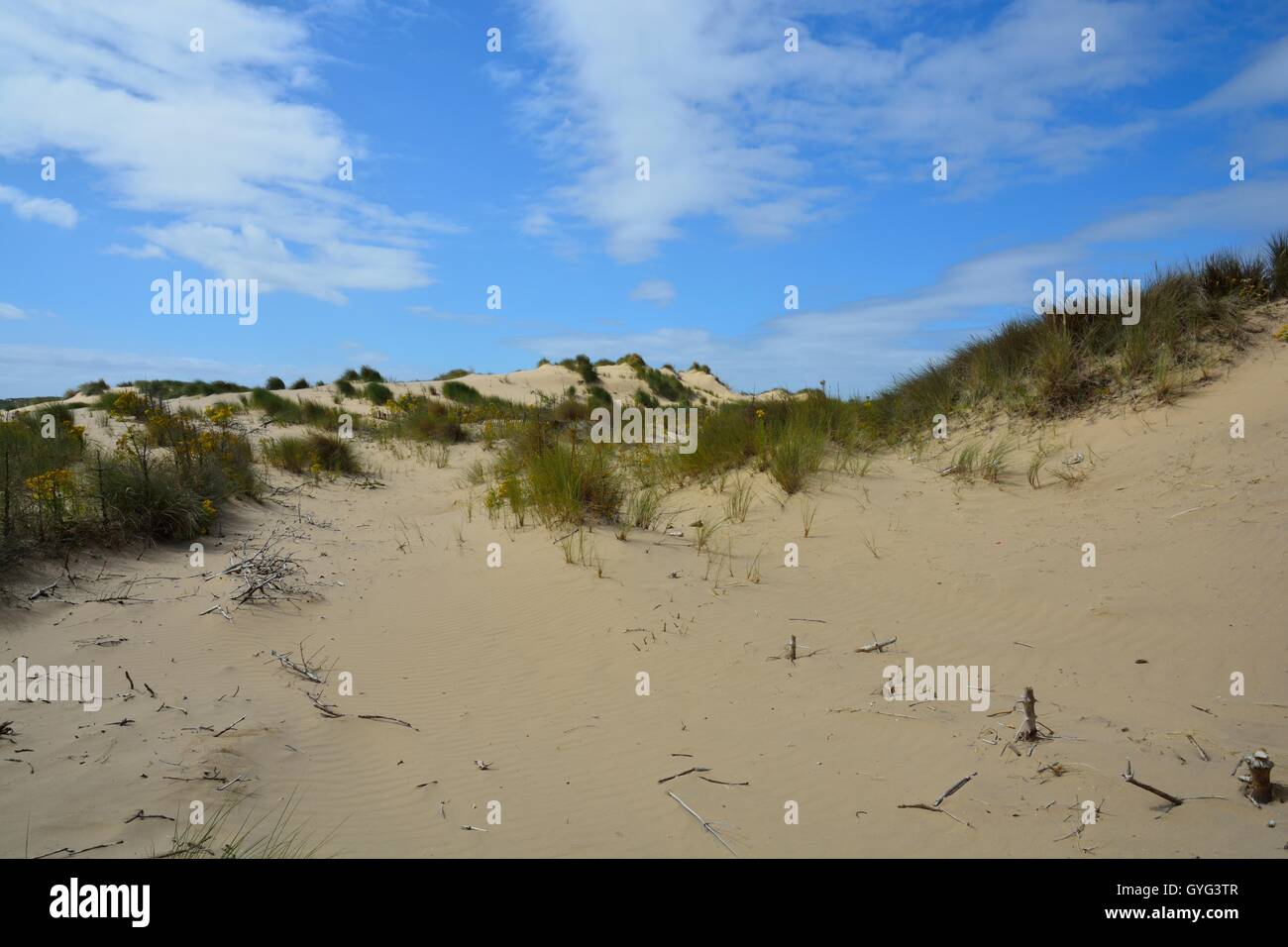 Formby Beach in England Stock Photo - Alamy