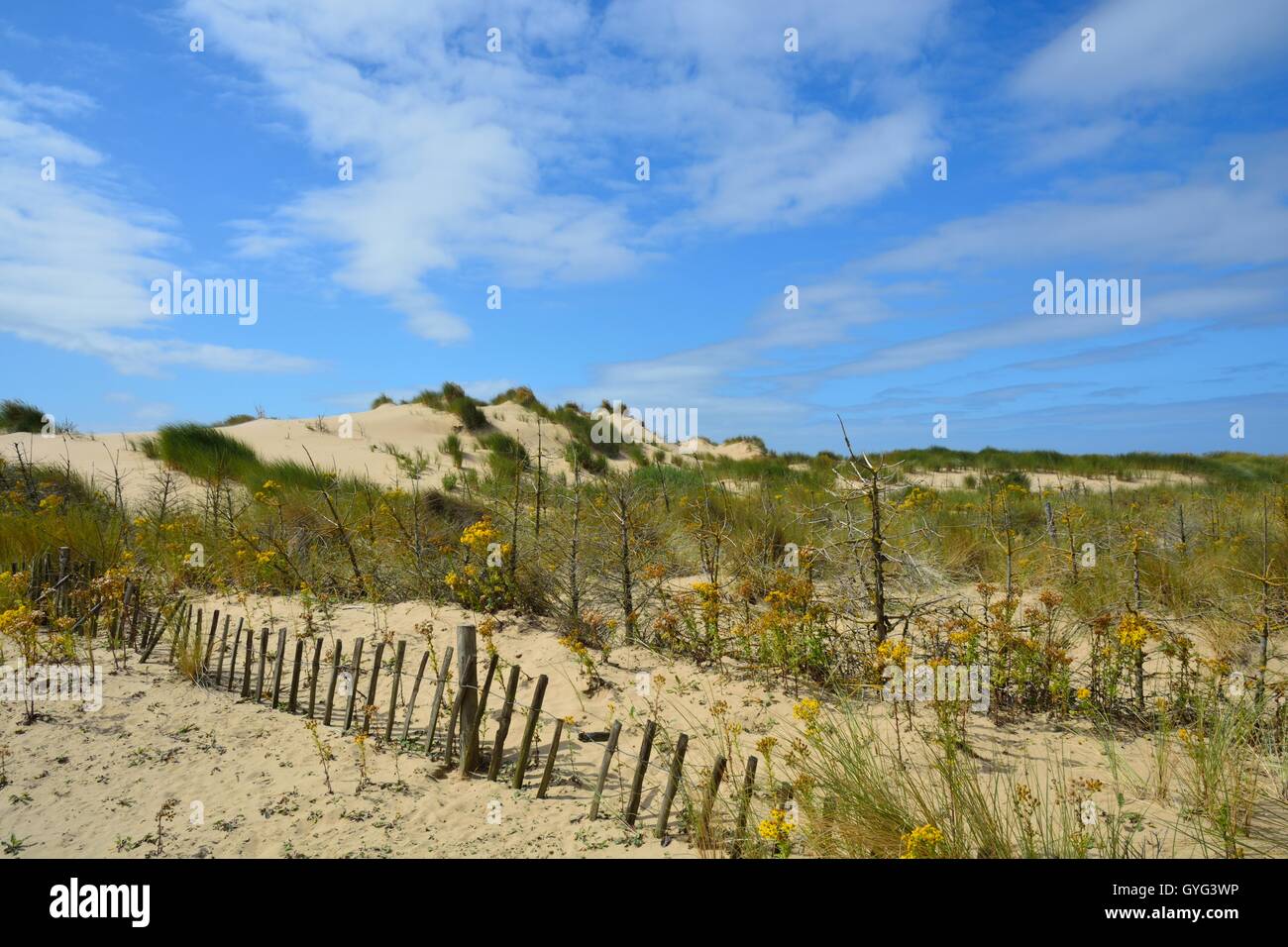 Formby Beach in England Stock Photo - Alamy