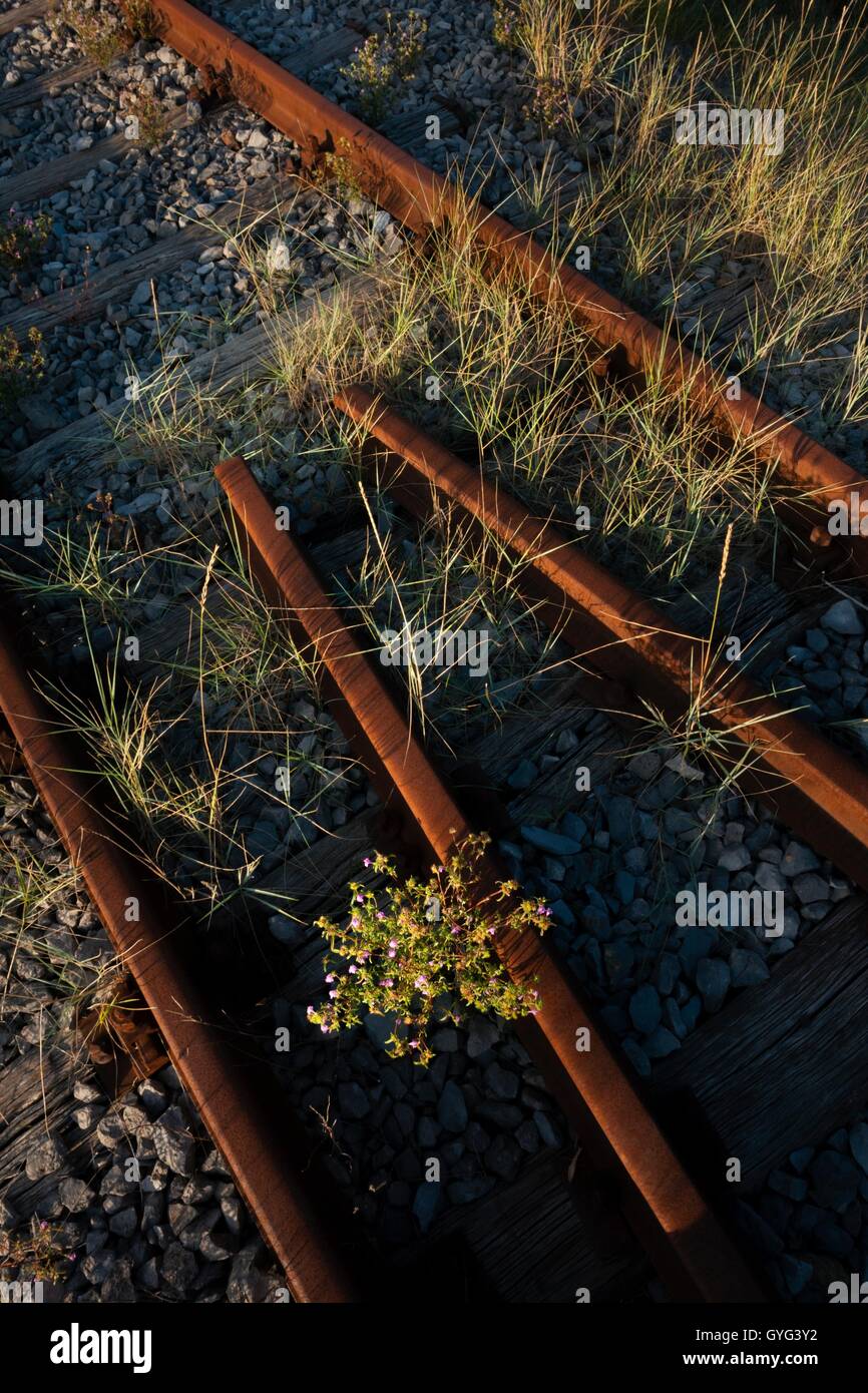 Abandoned old metal railway small bridge Stock Photo - Alamy