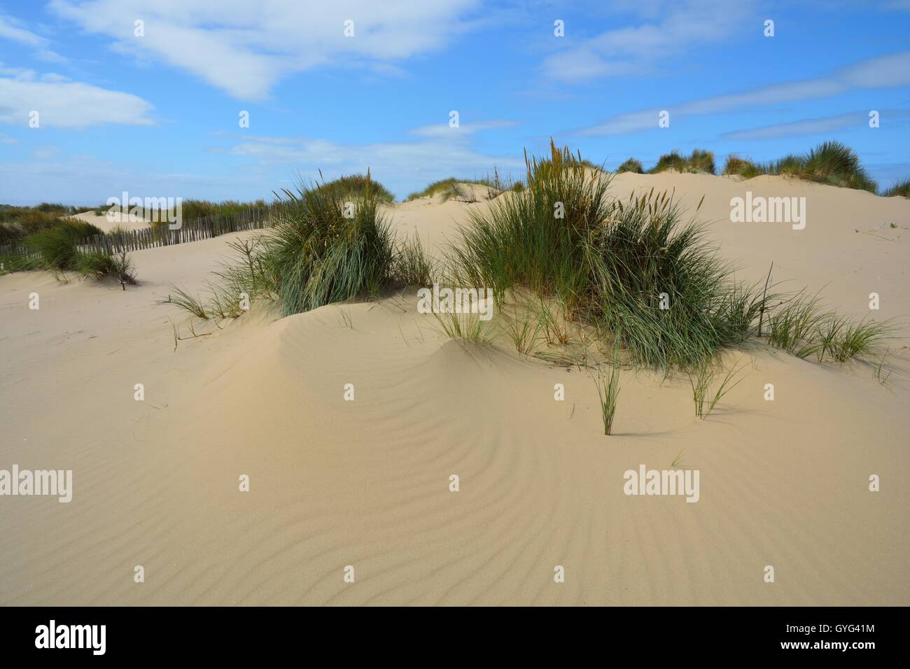 Formby beach hi-res stock photography and images - Alamy