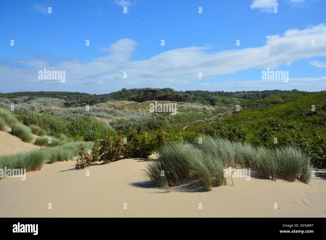Formby Beach in England Stock Photo - Alamy