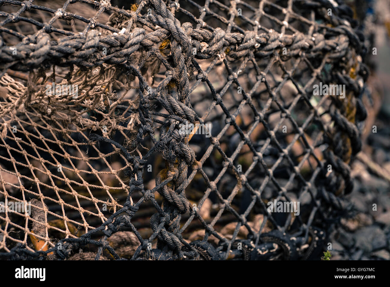 Lobster net hi-res stock photography and images - Alamy