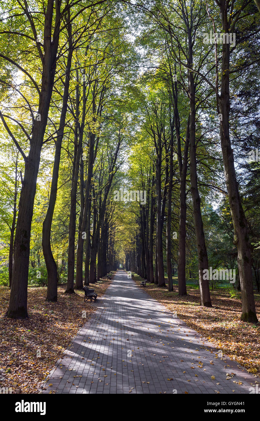 Quiet pathway hi-res stock photography and images - Alamy