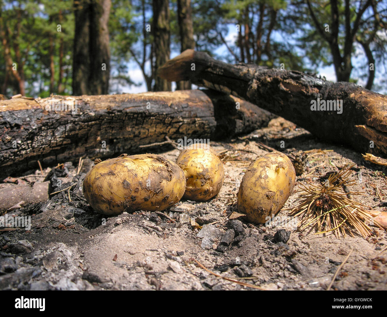 Fly ash hi-res stock photography and images - Alamy