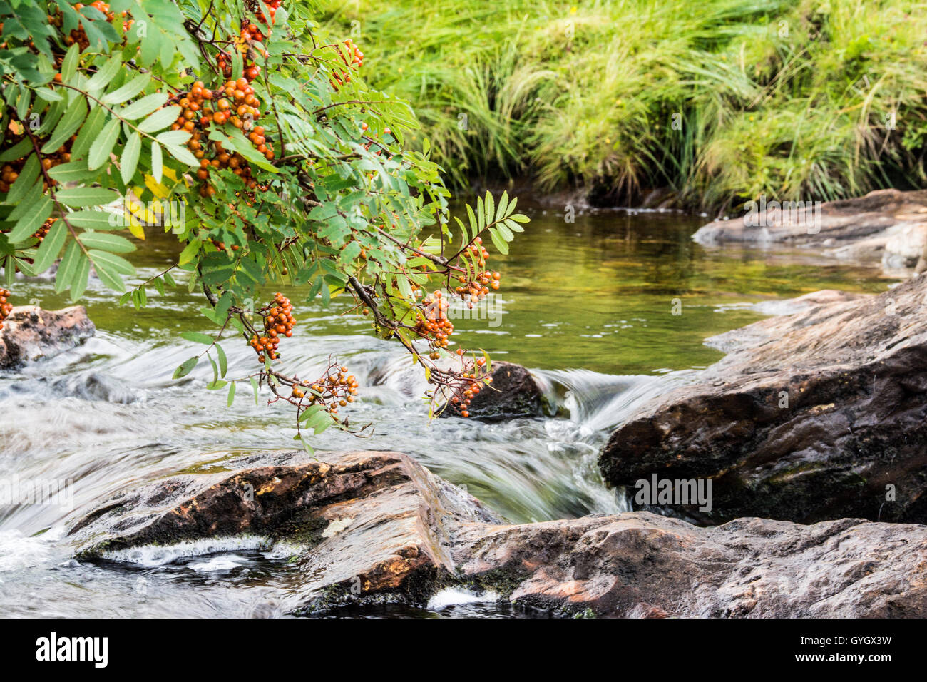 Slow Moving Water Of The River Falloch Stock Photo - Alamy