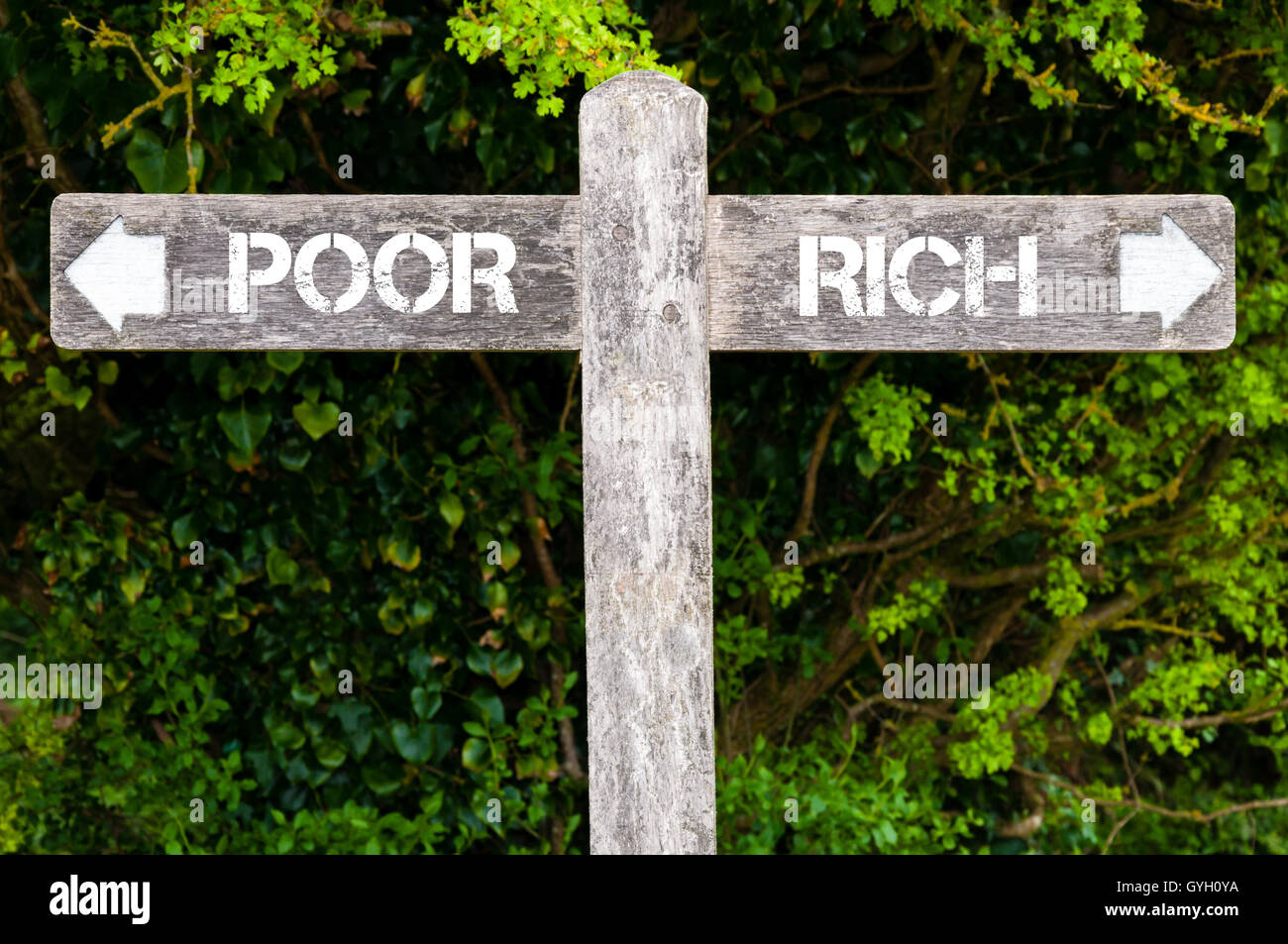 Wooden signpost with two opposite arrows over green leaves background ...