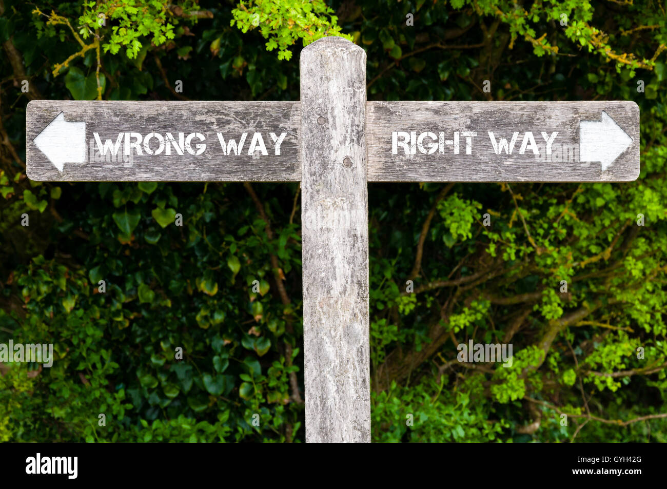 Wooden signpost with two opposite arrows over green leaves background ...