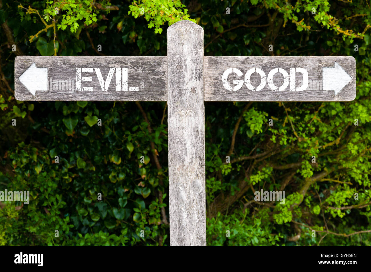 Wooden signpost with two opposite arrows over green leaves background ...