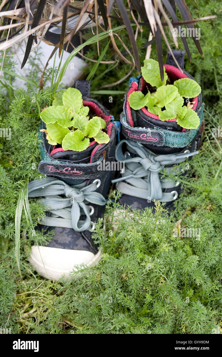 Children's shoes being used as flower pots Stock Photo - Alamy