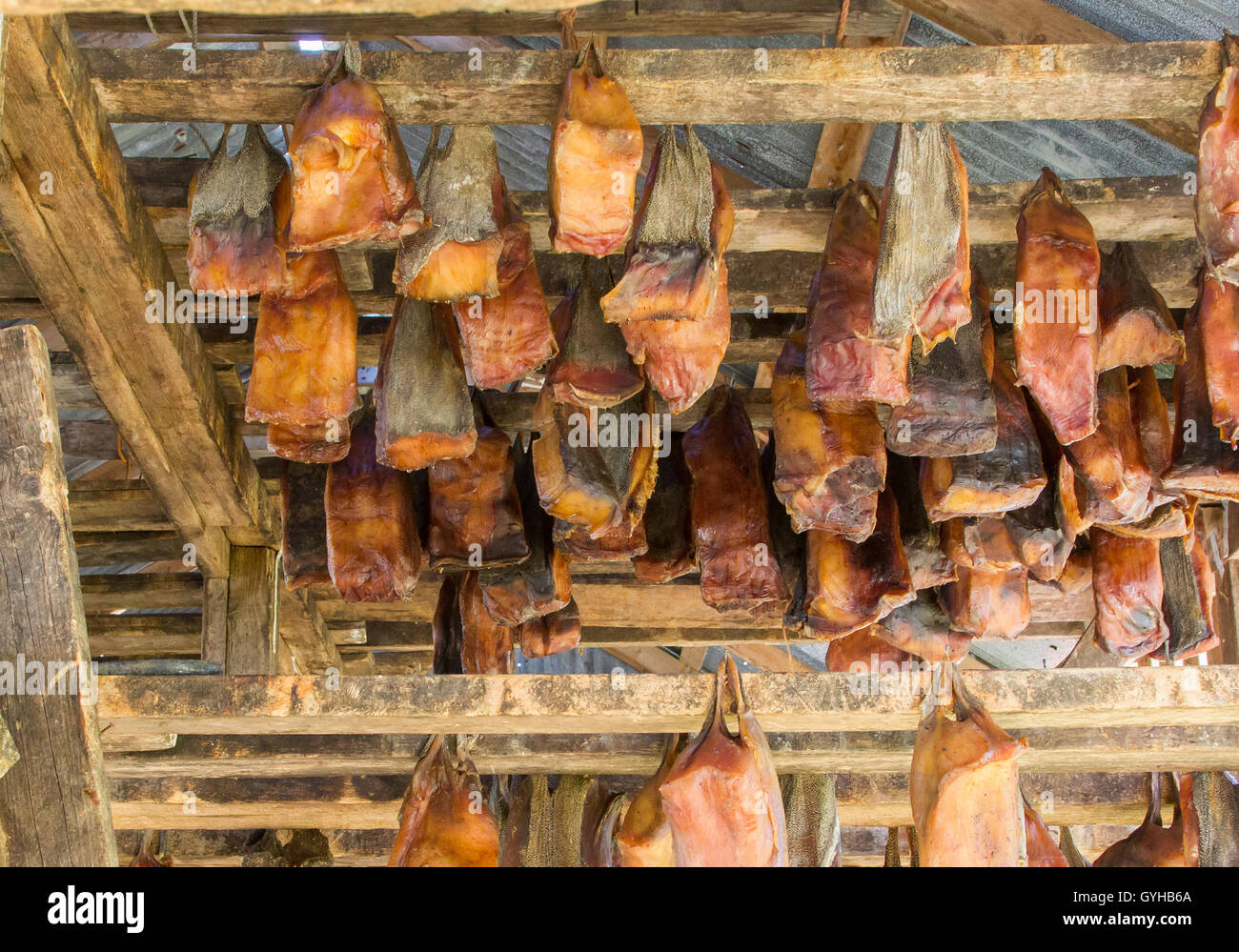 Iceland's fermented shark at Bjarnarhofn Shark Museum (drying house ...