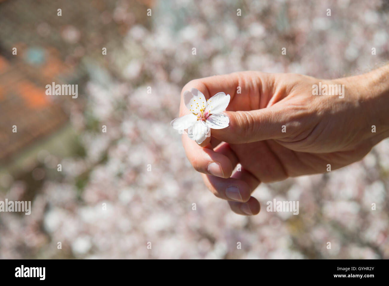 Hombre ligero hi-res stock photography and images - Alamy