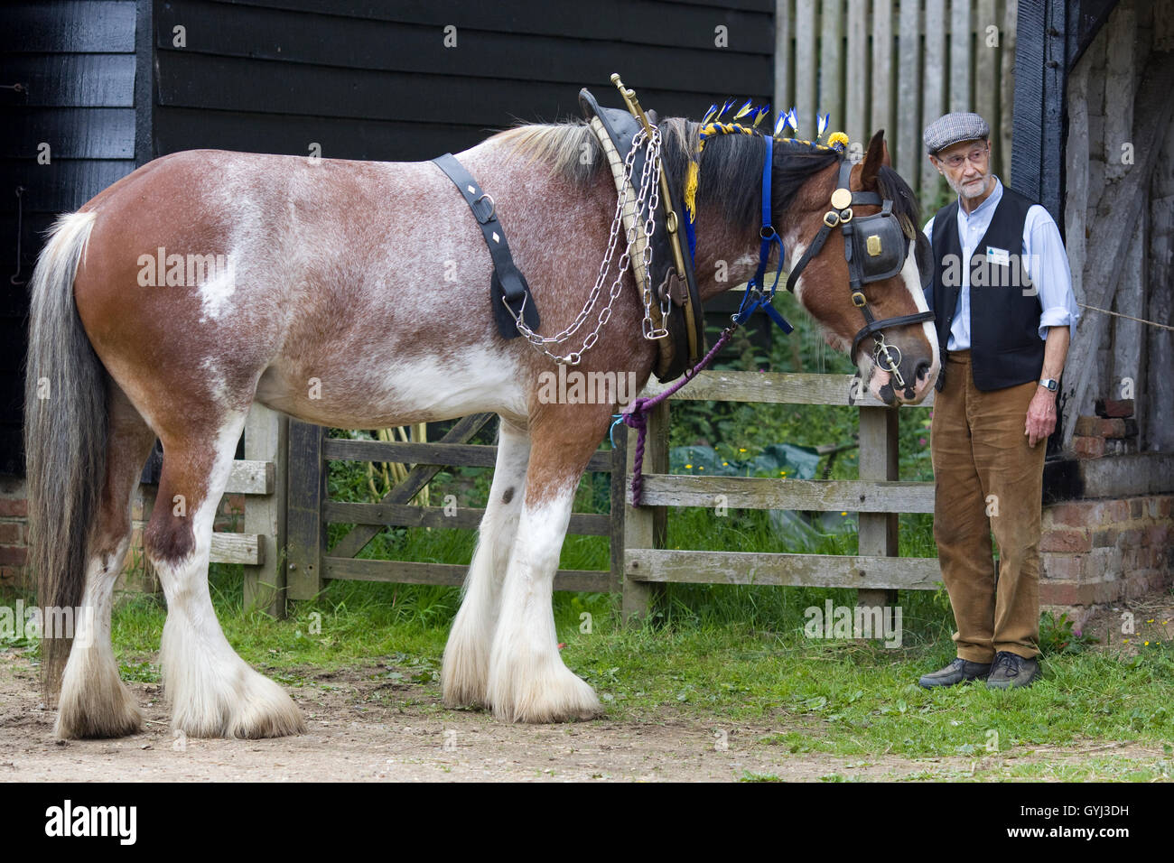 Man stables hi-res stock photography and images - Alamy