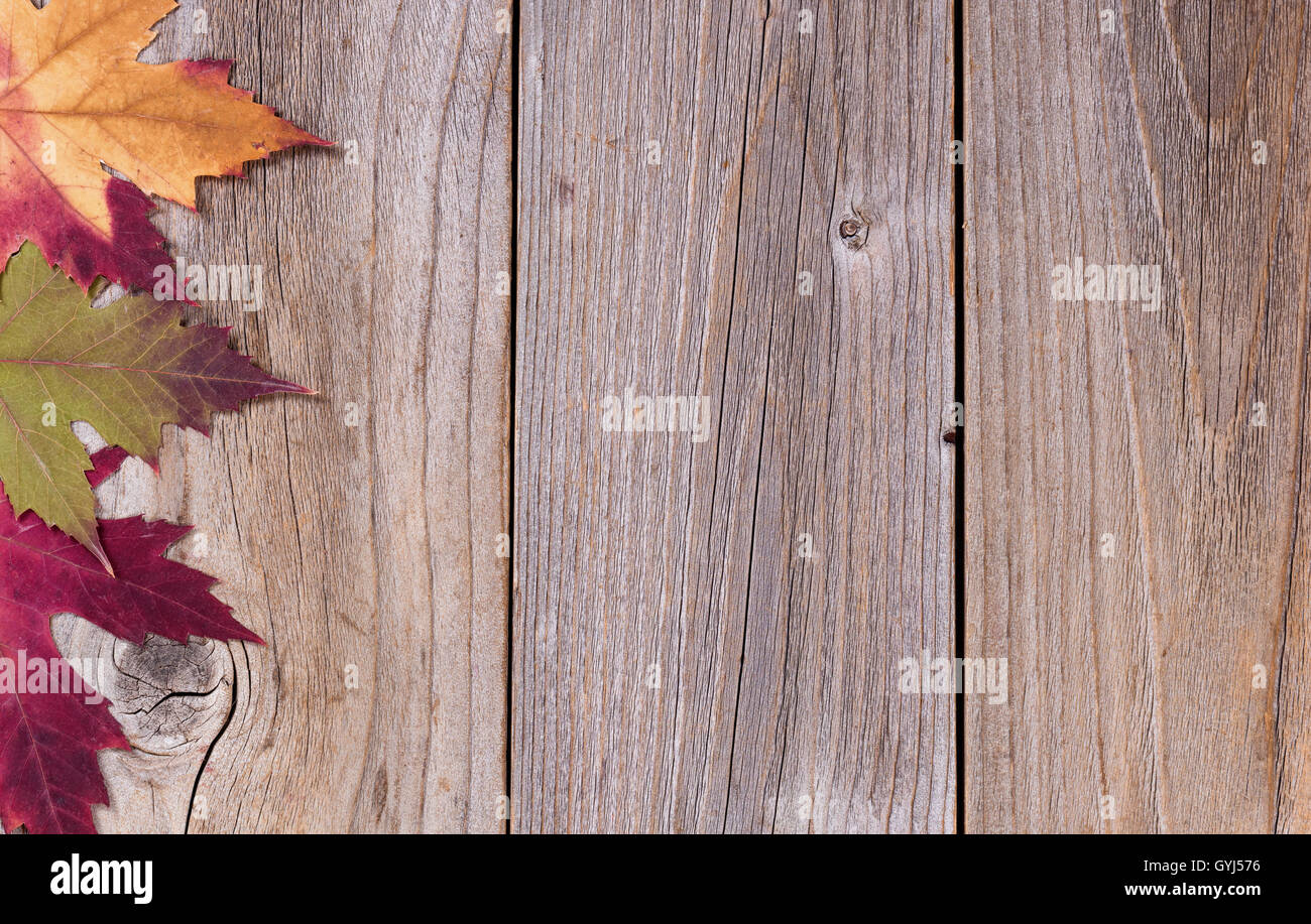 Overhead view of seasonal autumn leaves, left side of frame, on rustic ...
