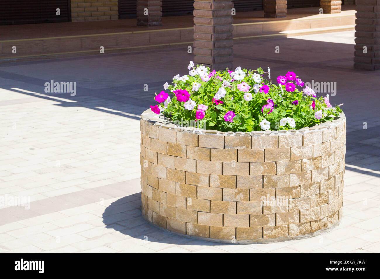 Flowerbed made of bricks in the street with bright colors Stock Photo ...