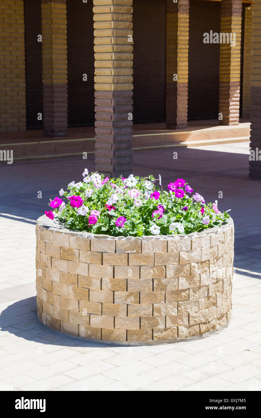 Flowerbed made of bricks in the street with bright colors Stock Photo ...