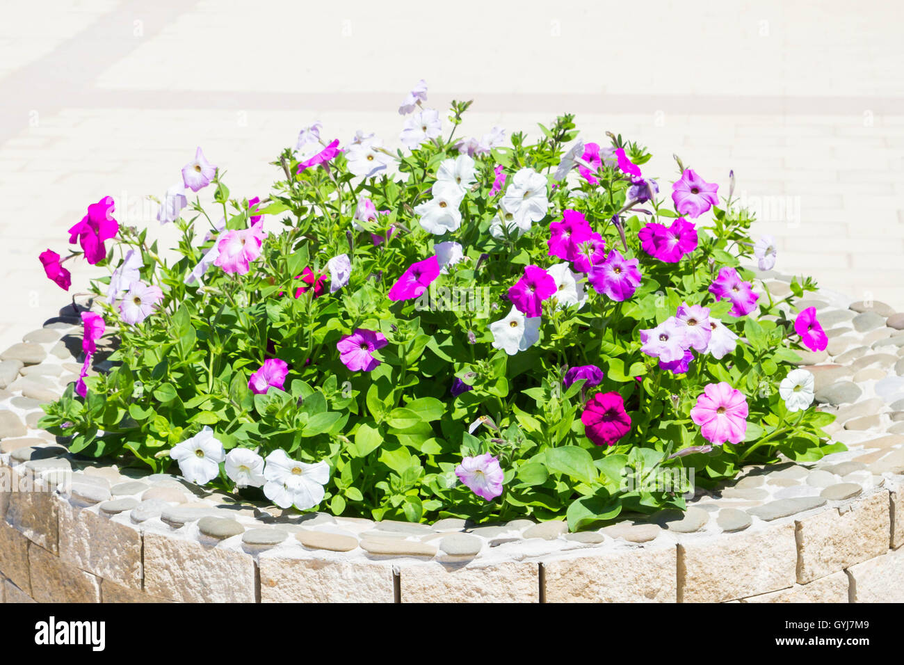 Flowerbed made of bricks in the street with bright colors Stock Photo ...